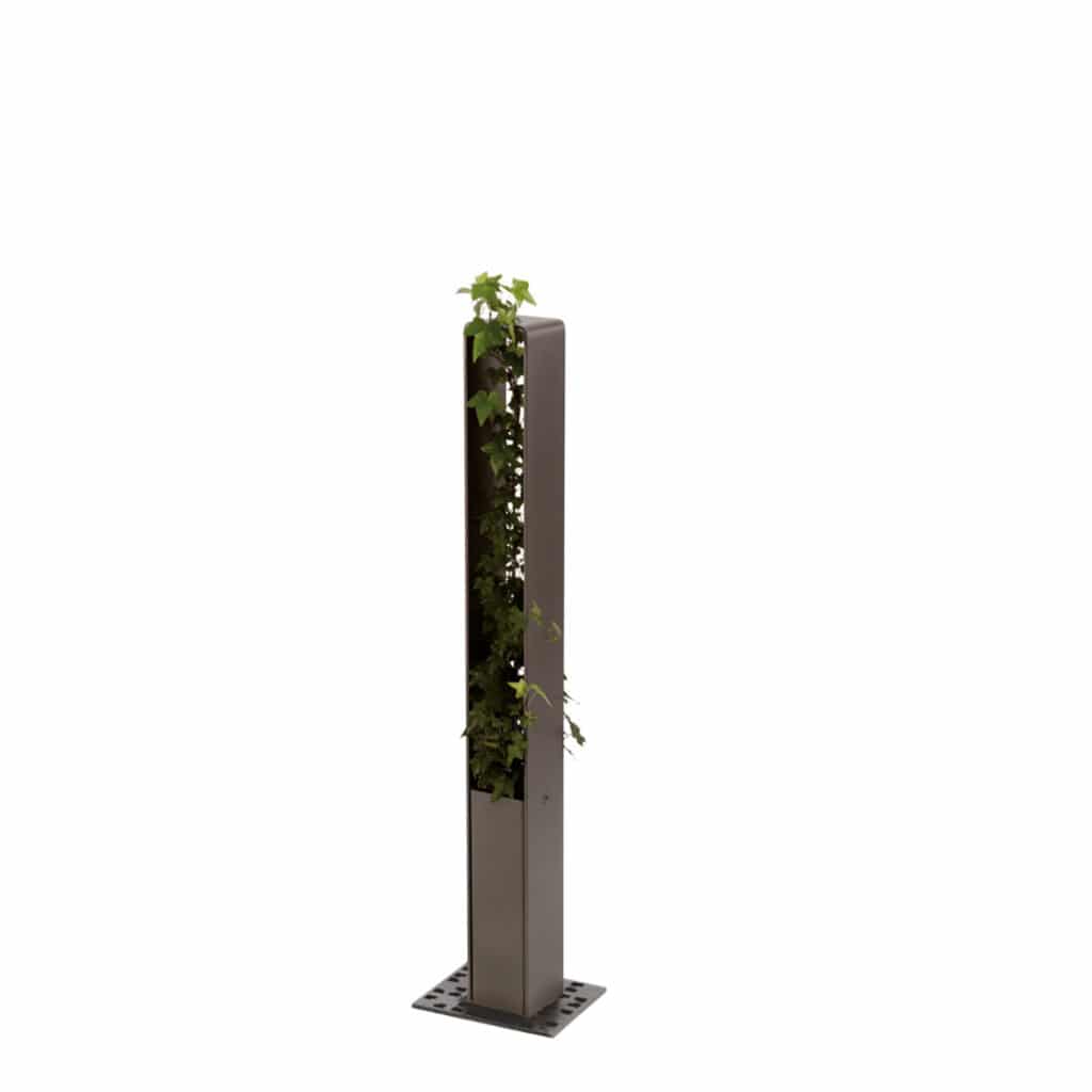 Post - HEDERA - ATECH