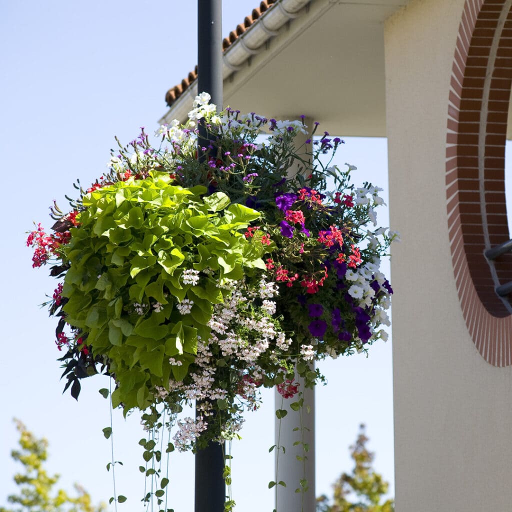 Recyclable plastic suspension - Jiflor - ATECH