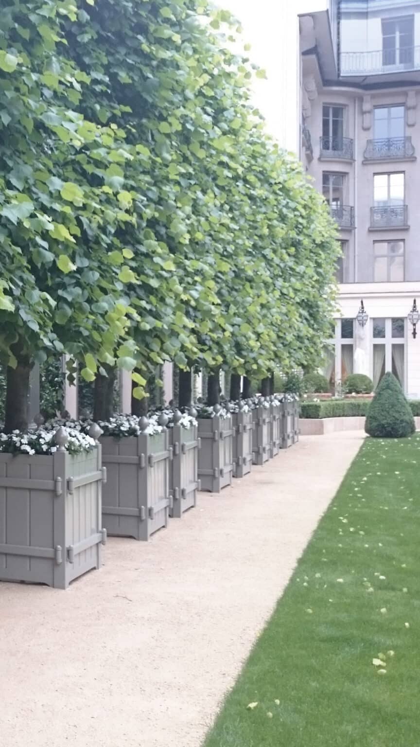 Custom made Orangerie Planters ATECH Custom made Orangerie Planters ATECH
