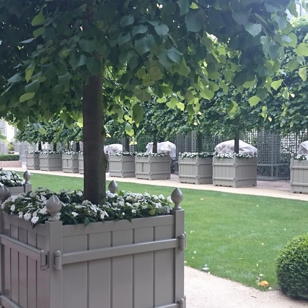 Custom made Orangerie Planters ATECH Custom made Orangerie Planters ATECH